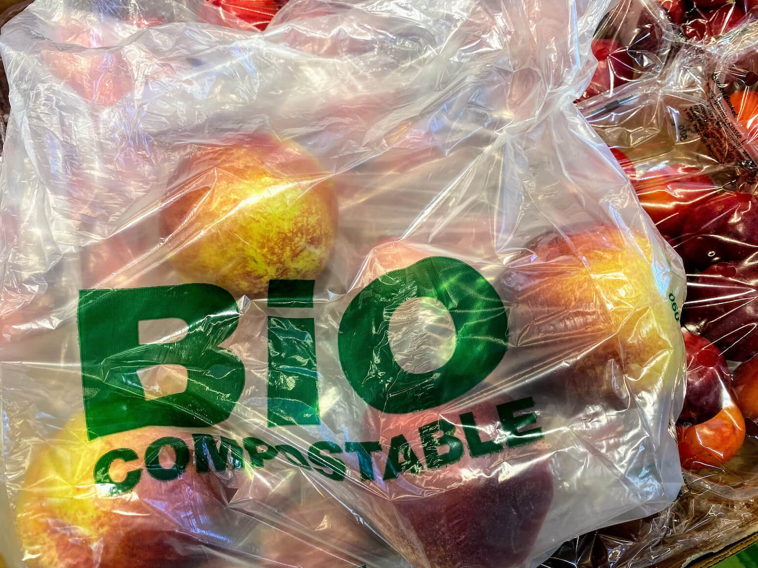What Is Sustainable Packaging Evolooption